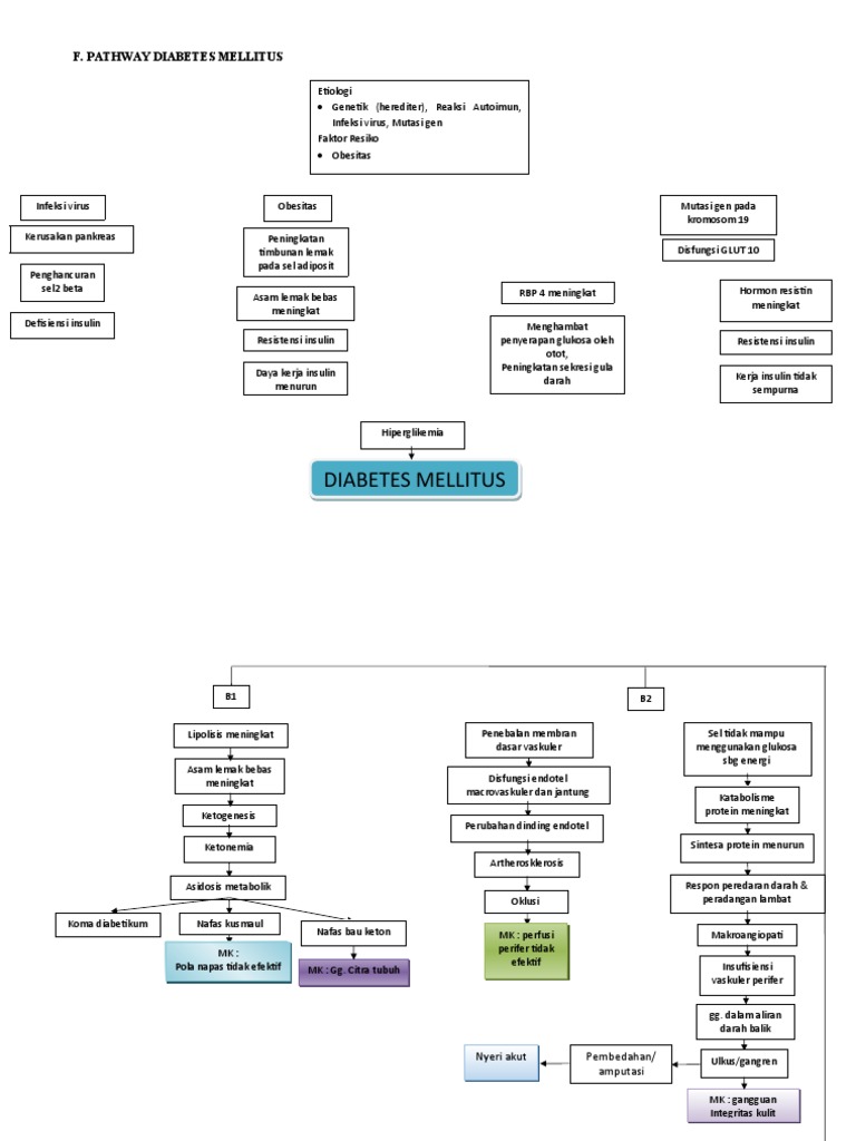 KMB, Pathway DM | PDF