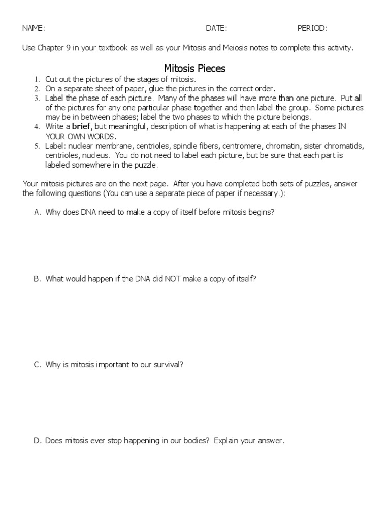 Mitosis Meiosis Puzzle | PDF | Meiosis | Mitosis
