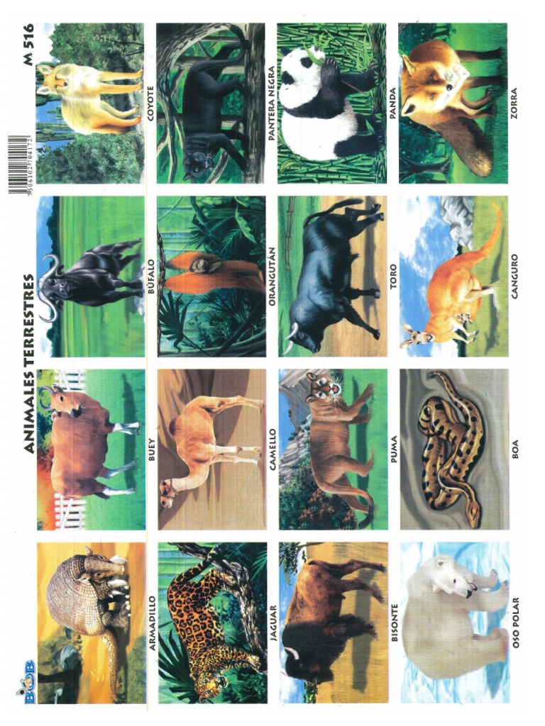 Animales Terrestres | PDF