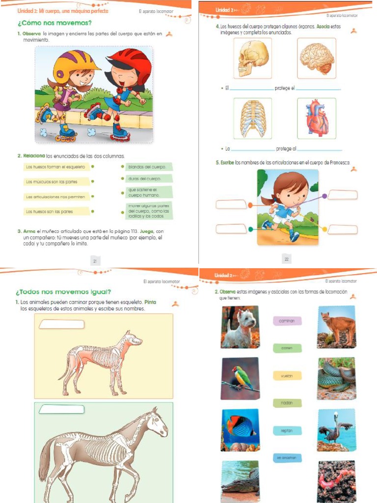 Fichas de CTA Y PERSONAL SOCIAL Unidad 2,3 y 4 2023 | PDF