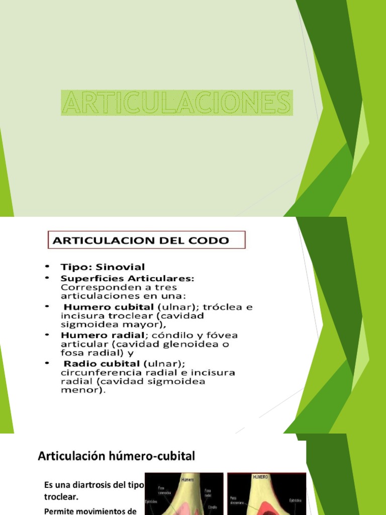 Codo Expo Pdf Articulación Codo