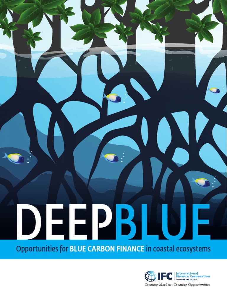 IFC 2023 - DeEP BLUE - Opportunities For Blue Carbon Finance in Coastal ... IFC 2023 - DeEP BLUE - Opportunities For Blue Carbon Finance in Coastal ...