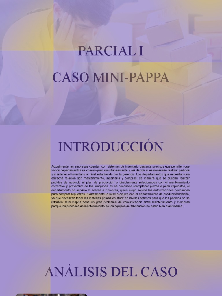 Caso Mini-Pappa | PDF | Inventario | Presupuesto