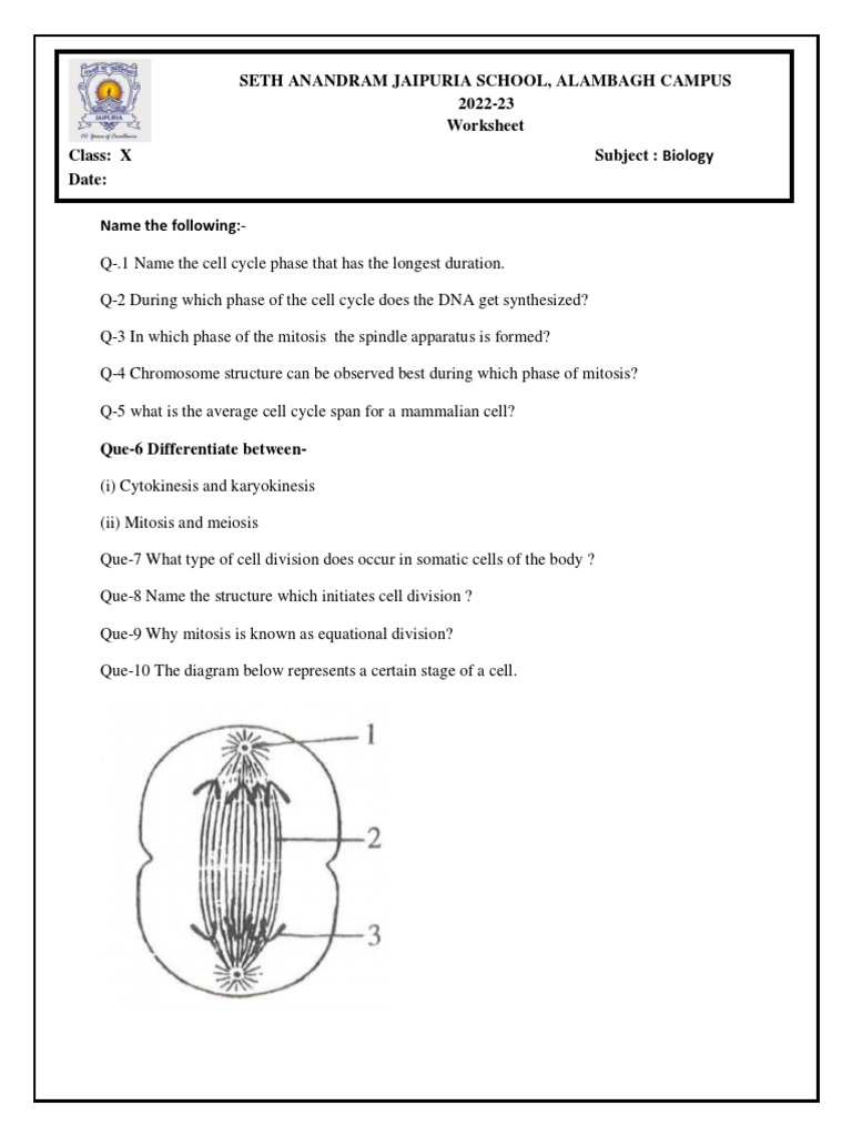 Class 10 Worksheet | PDF