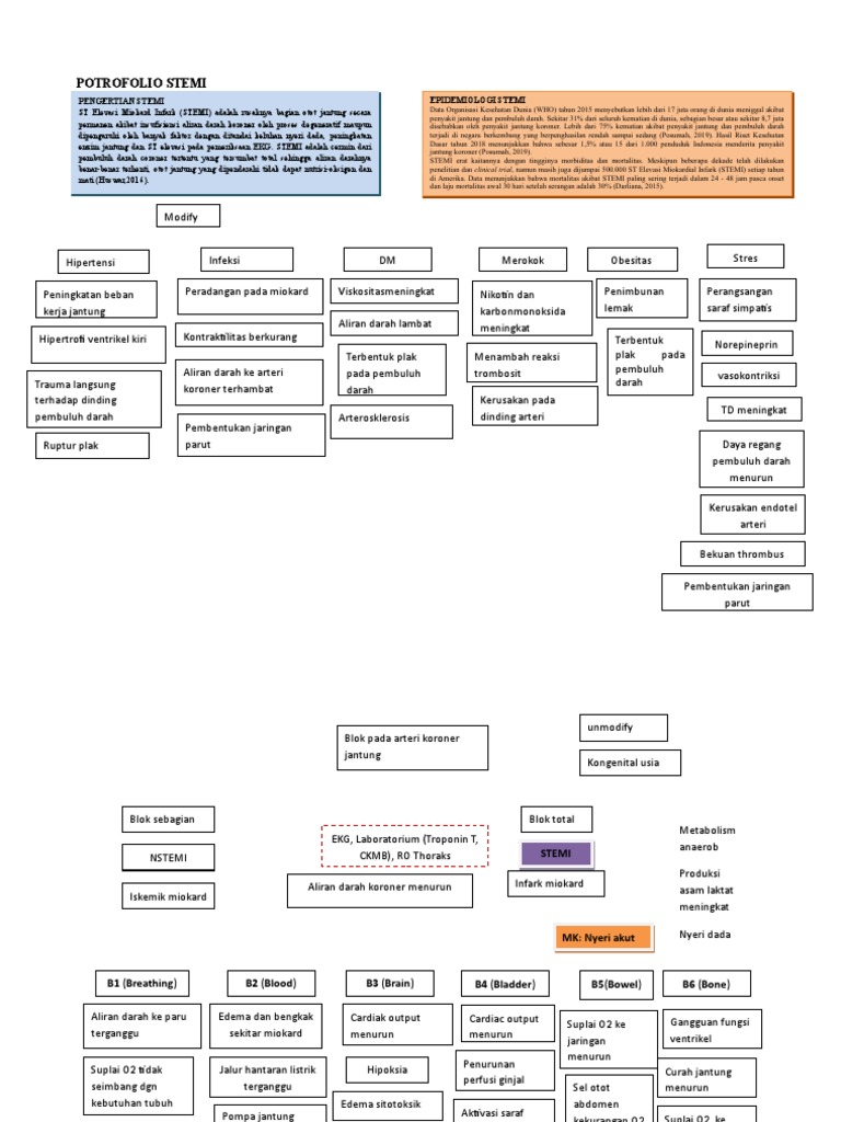 Portofolio Stemi | PDF