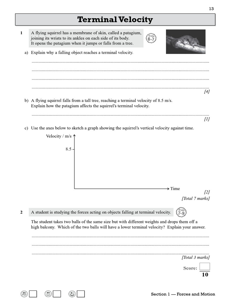 Y10 Motion and Forces Revision | PDF