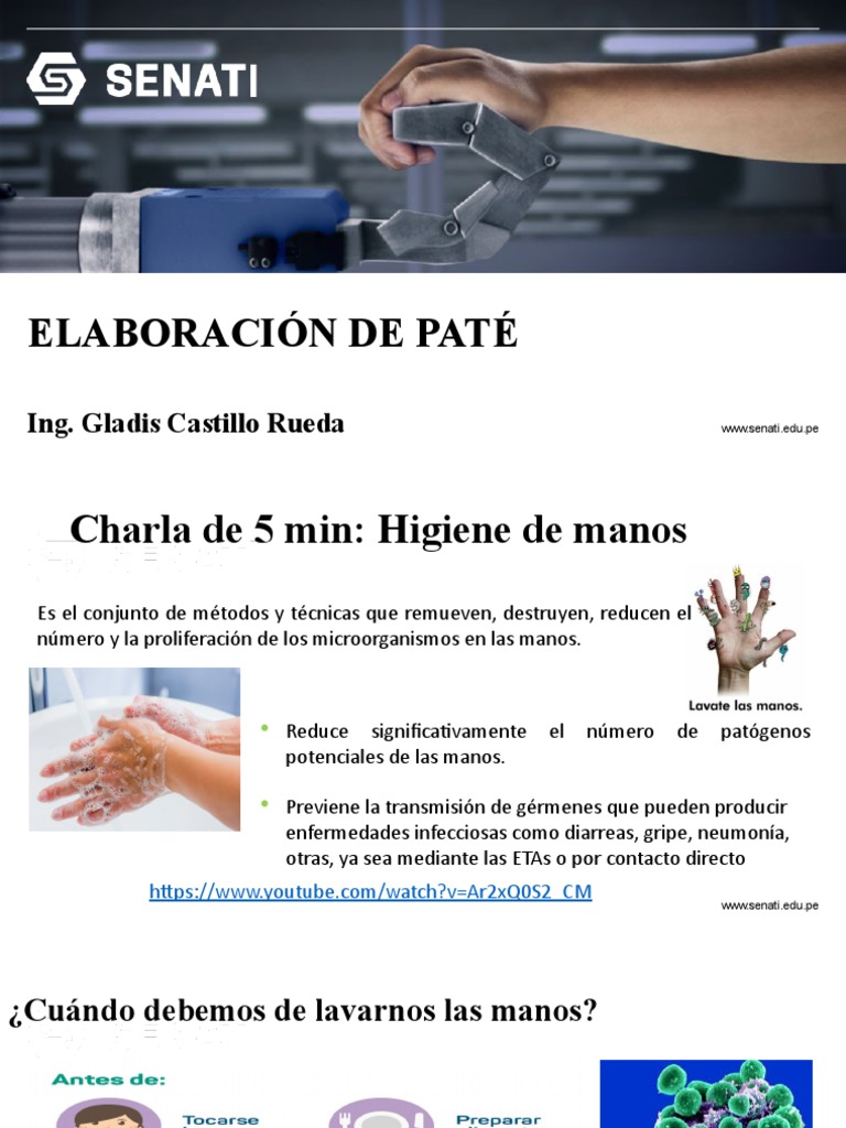 3 Pate | PDF | Carne | Alimentos