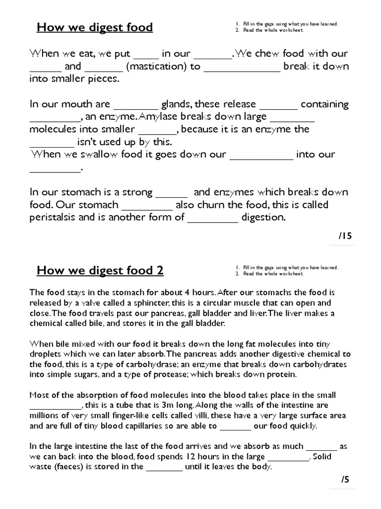 Digestion | PDF | Digestion | Stomach Digestion | PDF | Digestion | Stomach