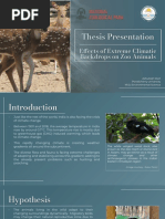 Understanding Zoochosis in Captive Animals | PDF | Zoo | Psychology