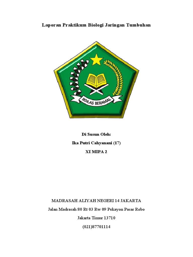 Laporan Praktikum Biologi Jaringan Tumbuhan | PDF