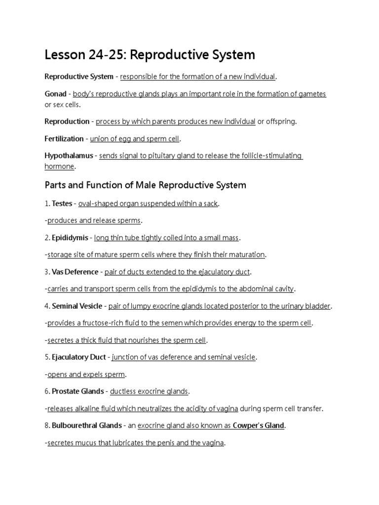 Science 10 Reviewer | PDF | Menstrual Cycle | Human Body