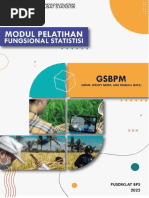 Final Draft - RT - BPS - 2025-2029 - R1.2 | PDF