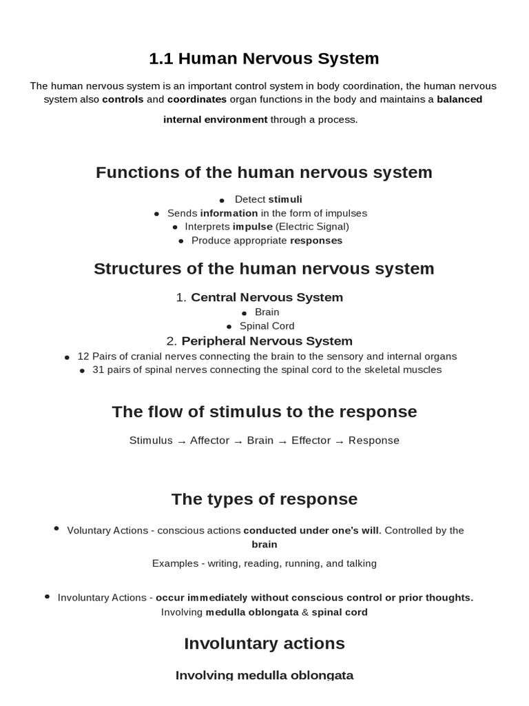 1.1 Human Nervous System | PDF | Nervous System | Stimulus (Physiology)