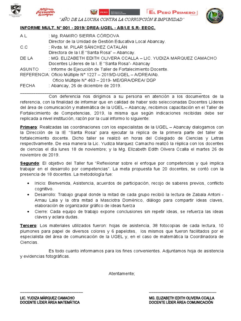 Informes Ii - Ee 2019 | PDF