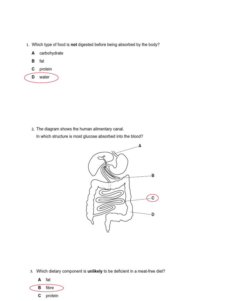 Human Nutrition Classified Past Paper 2 Solved IGCSE Biology 0610 GCSE ...