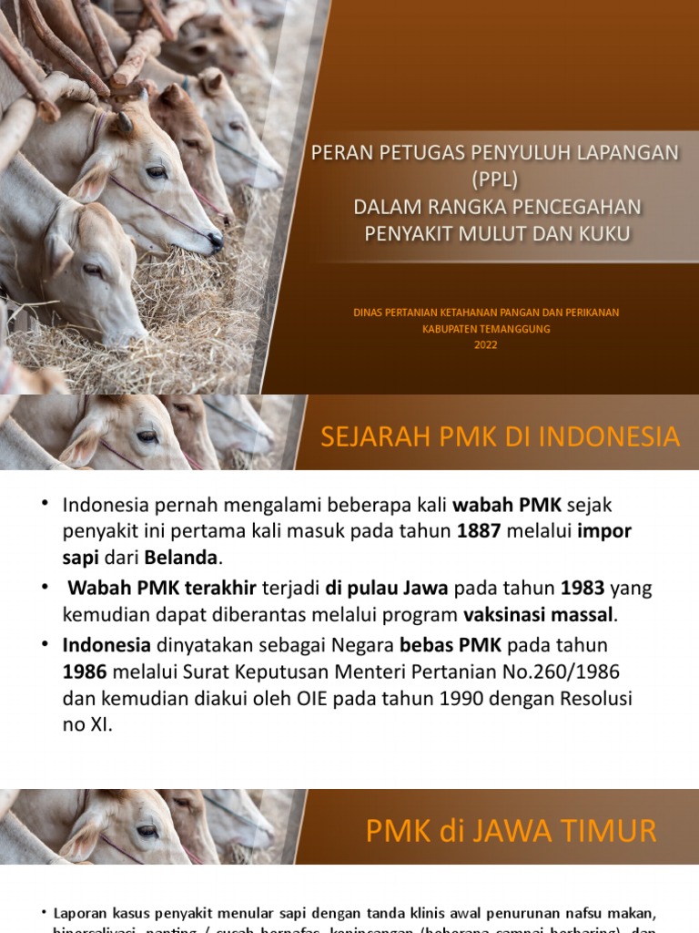 Penyakit Mulut Dan Kuku PPT PPL .Edit | PDF Penyakit Mulut Dan Kuku PPT PPL .Edit | PDF