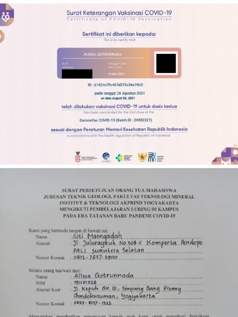 Alissa Qotrunnada - 191101028 | PDF