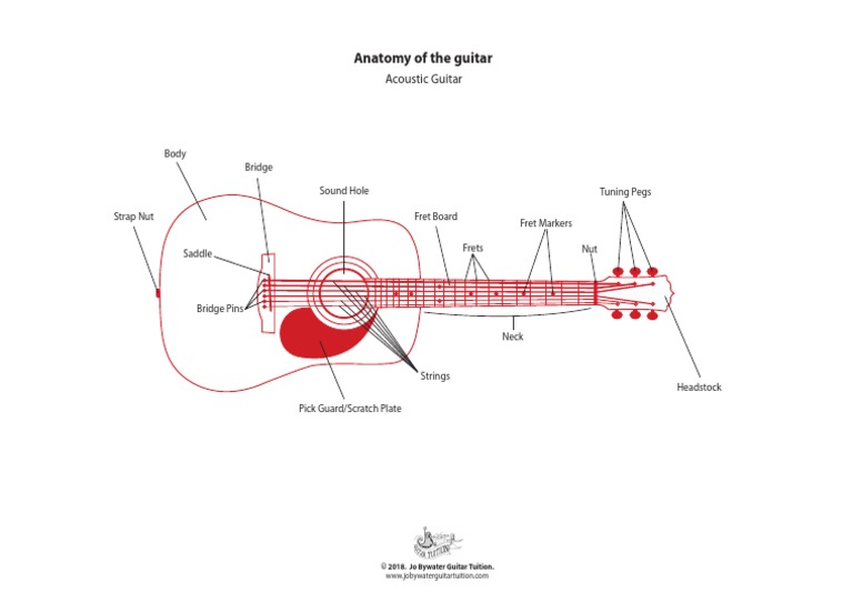 Acoustic Guitar Labelled Diagram | PDF