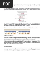 Patrones de ANA e interpretación clínica | PDF