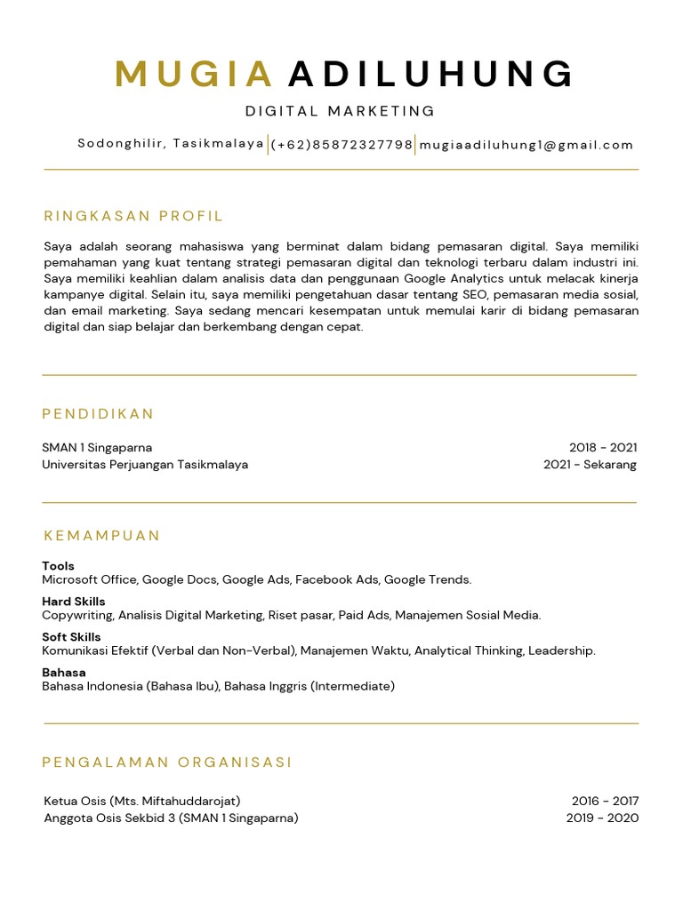 CV Digital MArketing | PDF