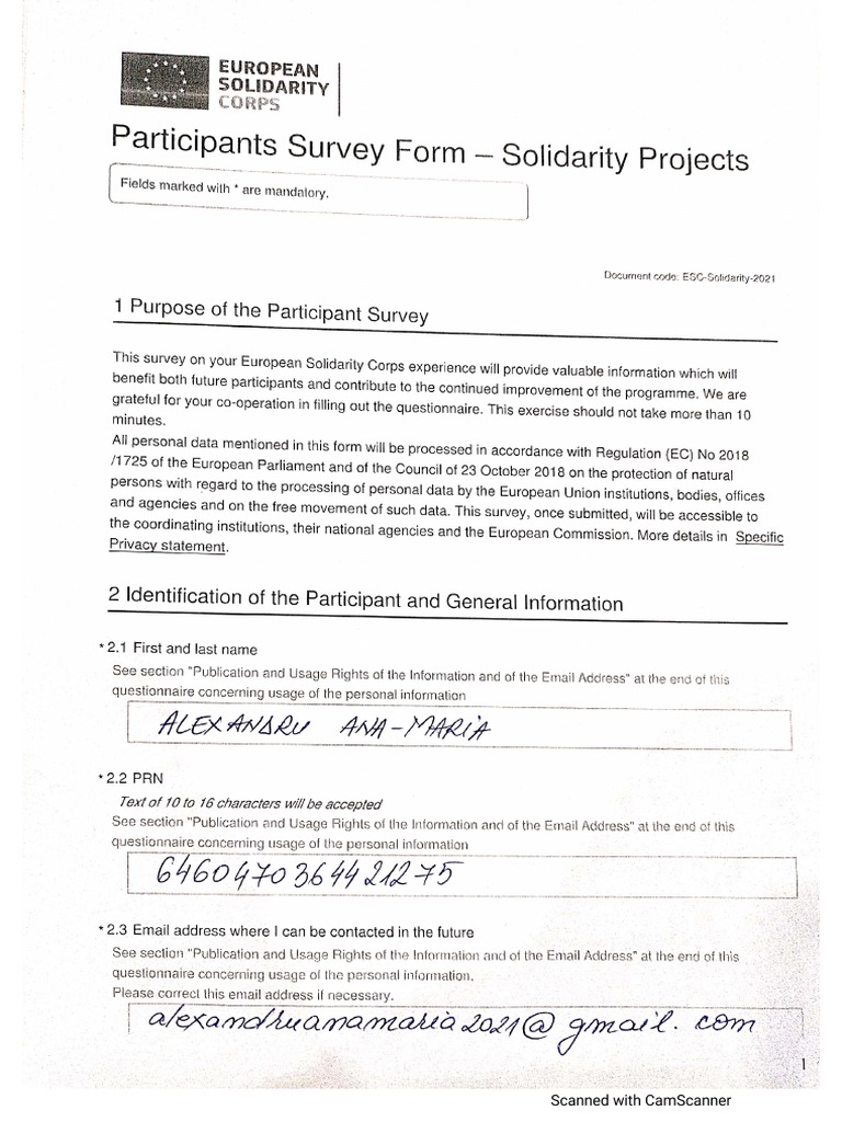 Participant Survey Form | PDF