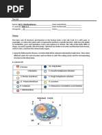 Cell City Worksheet Answer Key | PDF | Cell (Biology) | Cytoplasm
