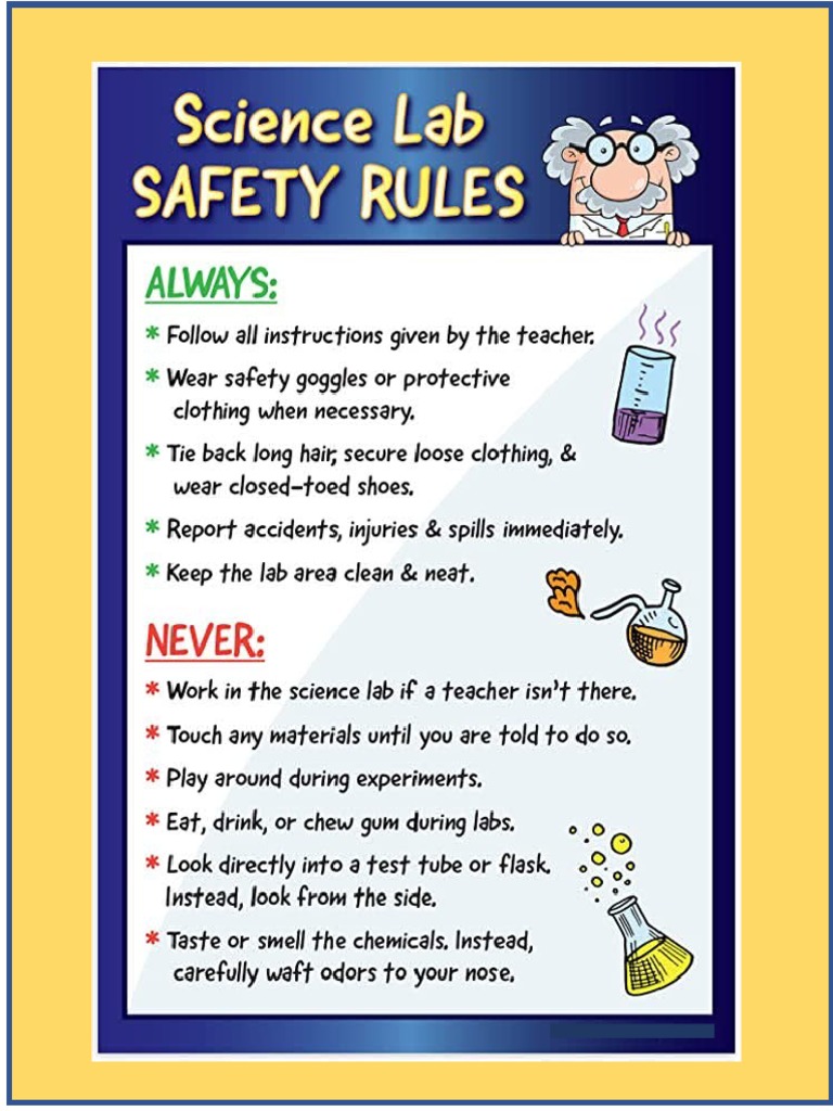 Lab Rules | PDF