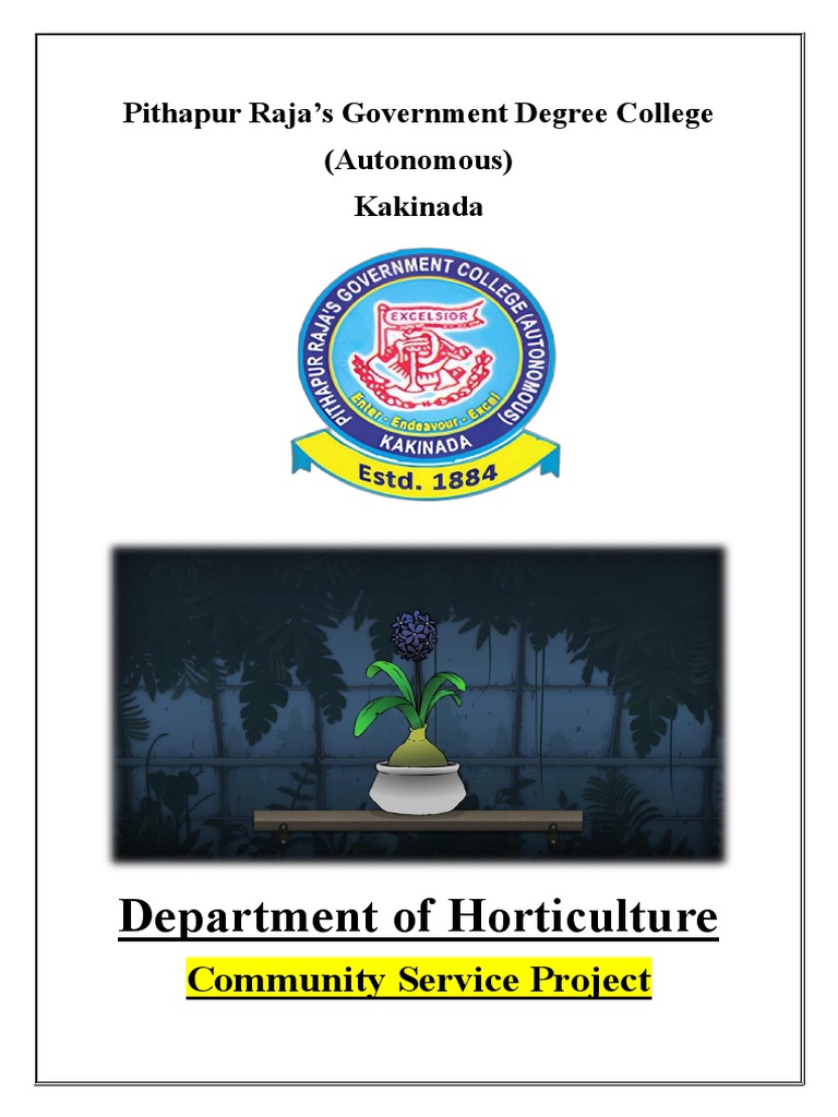 CSP Project Sample Page | PDF