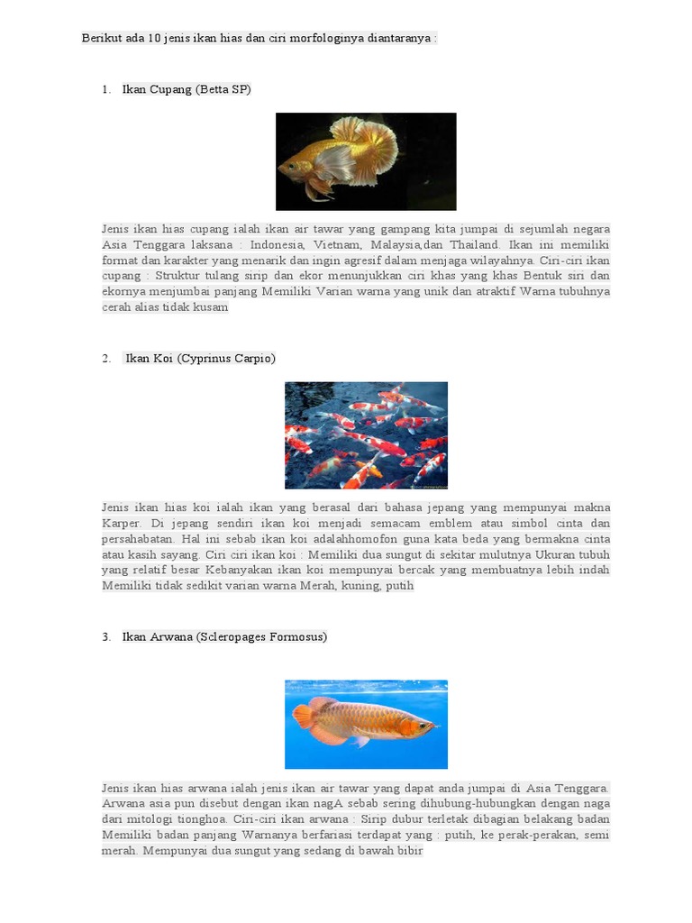 10 Jenis Ikan Hias dan Ciri-Cirinya | PDF