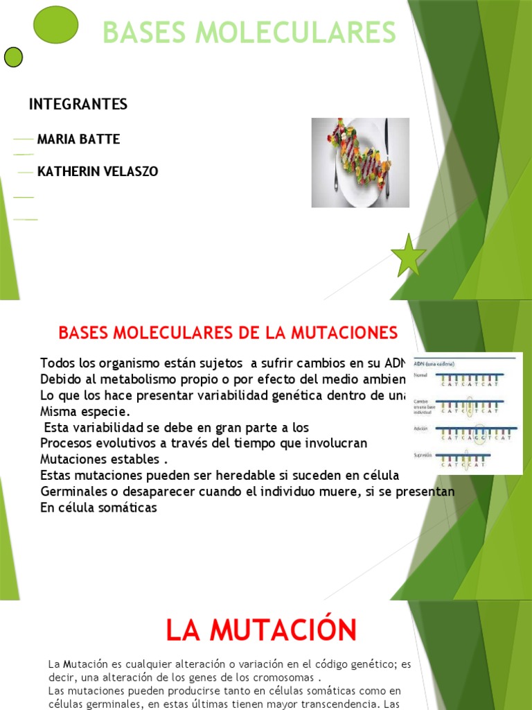 BASES MOLECULARES (2) | PDF | Mutación | Mutageno