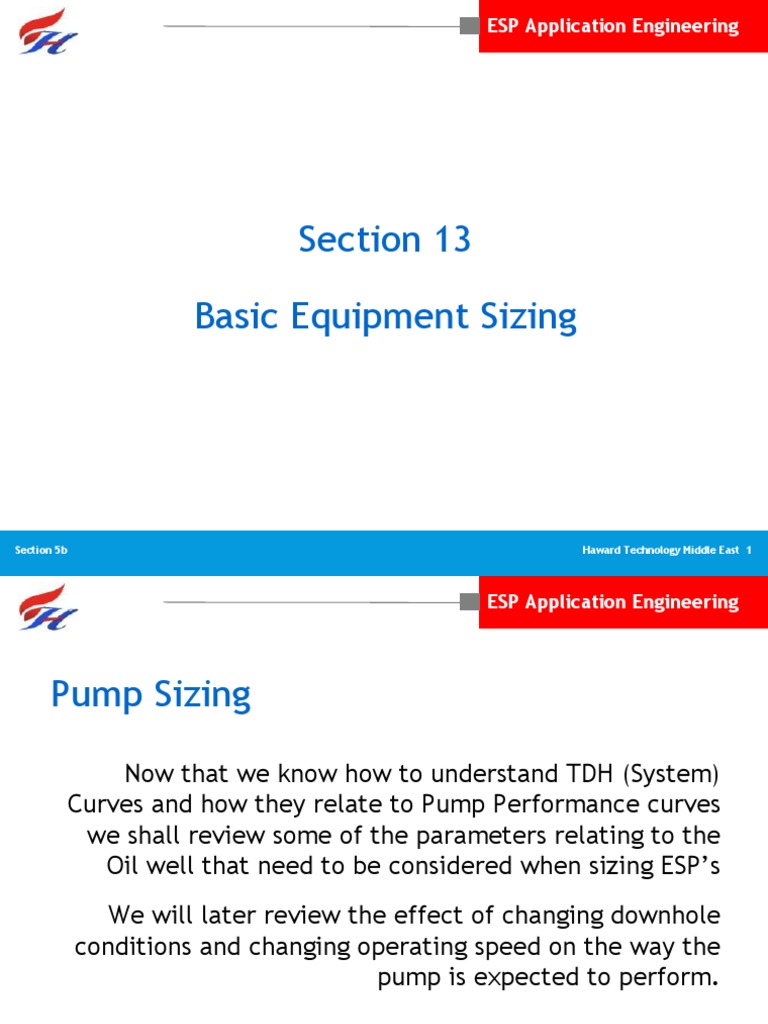 Section 13 BASIC PUMP SIZING FOR ESP | PDF | Horsepower | Pump