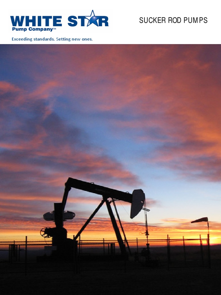 RSP Catalog | Download Free PDF | Pump | Pipe (Fluid Conveyance)