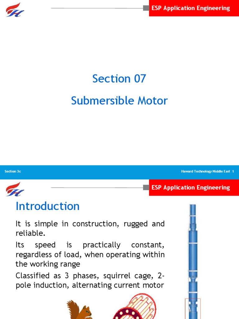 Section 07 MOTORS | PDF | Bearing (Mechanical) | Electric Motor