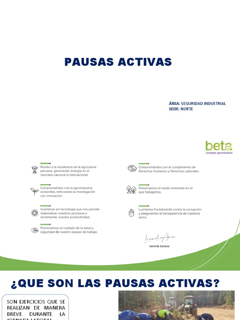Pausas Activas | PDF