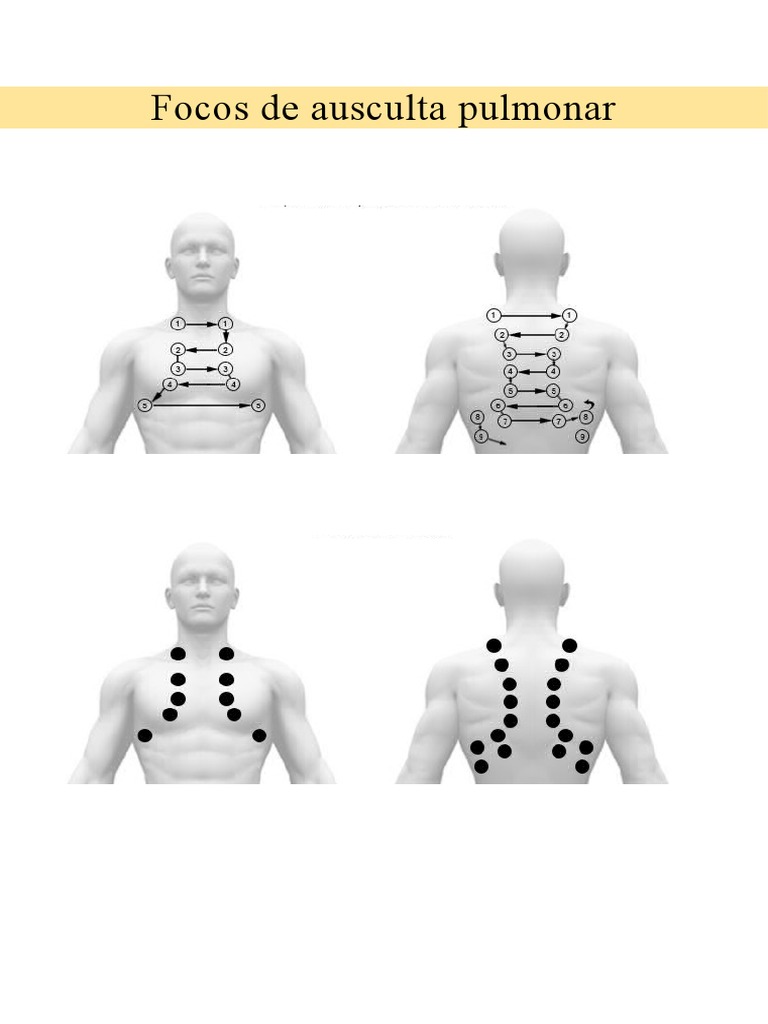 Focos de Ausculta Pulmonar | PDF