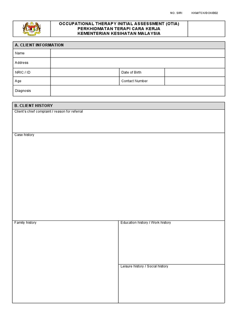 Occupational Therapy Initial Assessment Form | PDF | Psychology ...