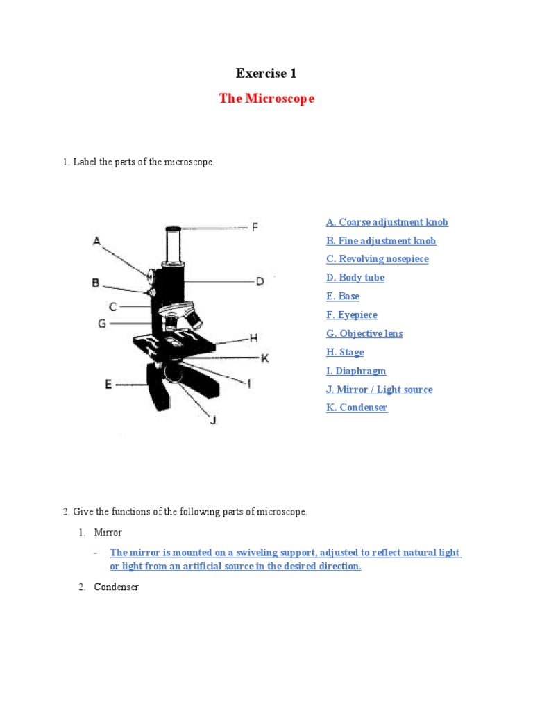The Microscope: Exercise 1 | PDF | Microscopy | Microscope