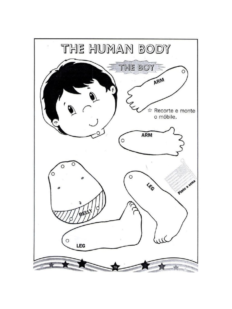 Body Parts | PDF