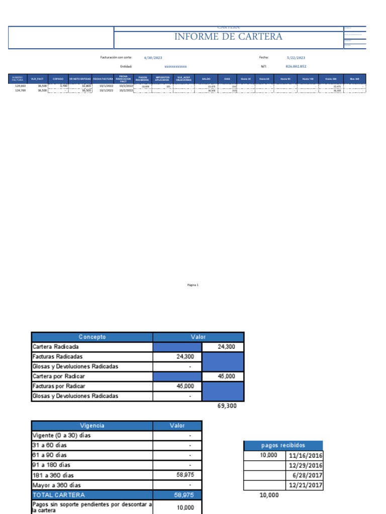 Formato de Estado de Cartera | PDF