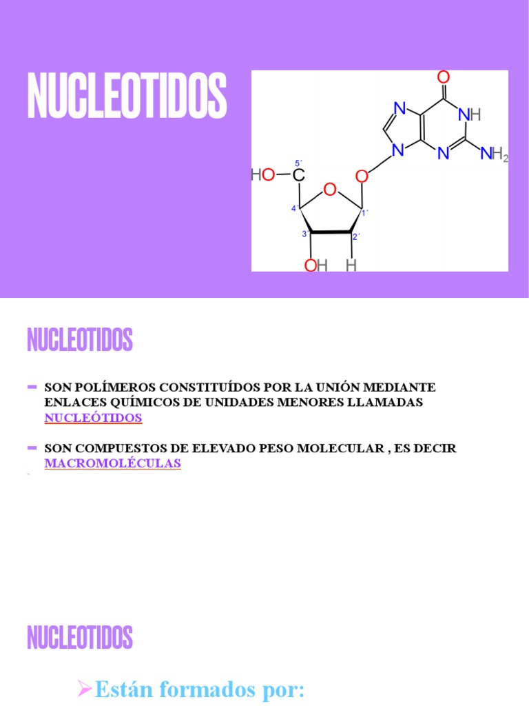 Nucleótidos | PDF | Nucleótidos | Bioquímica