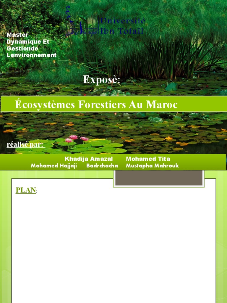 Fonctionnement Ecosystèmes | PDF | Écosystème | Forêt