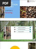 Csc134 Individual Assignment | PDF | Microsoft Excel | Spreadsheet