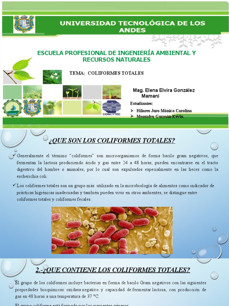 COLIFORMES TOTALES | PDF | Las bacterias | Organismos