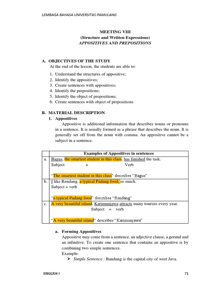 Understanding Appositives and Prepositions | PDF | Preposition And ...