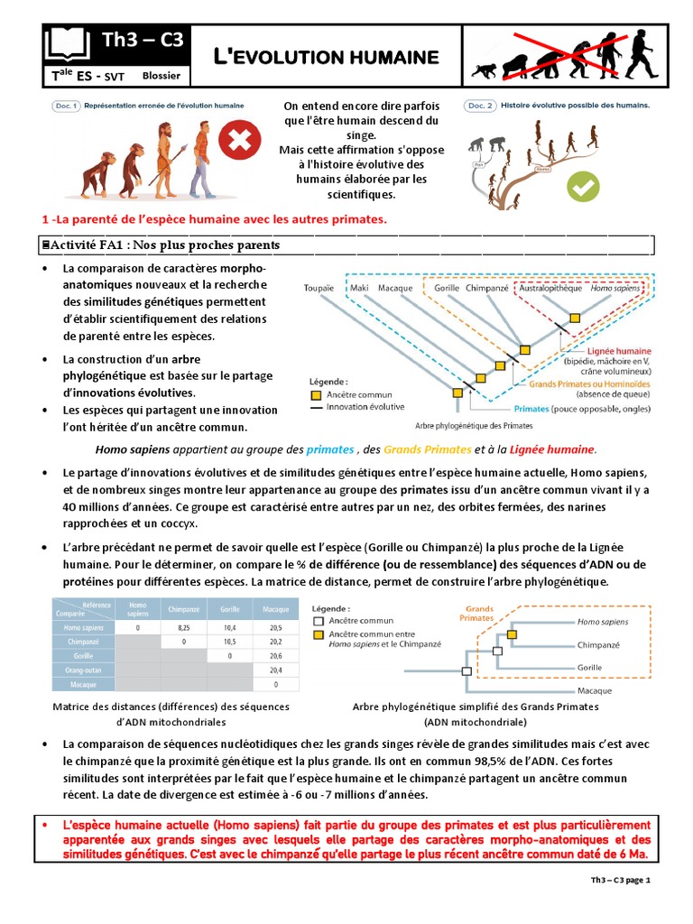 TES Th3 C3 Elèves | Descargar gratis PDF | Évolution humaine | Humain