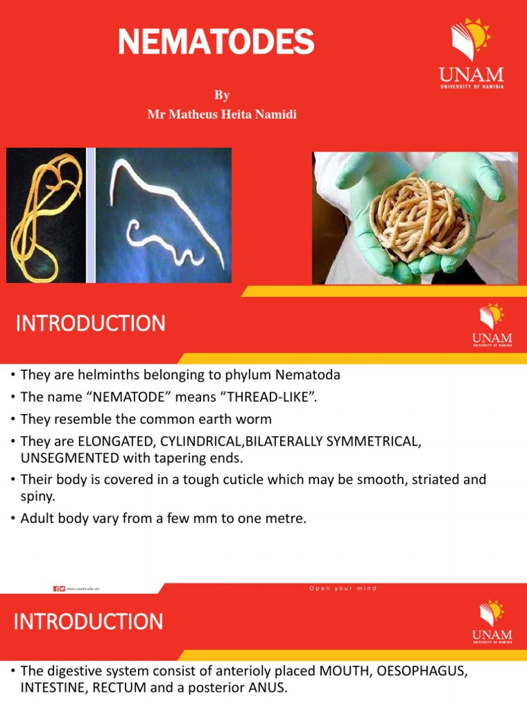 Helminths (Nematodes) | PDF | Nematode | Medical Specialties