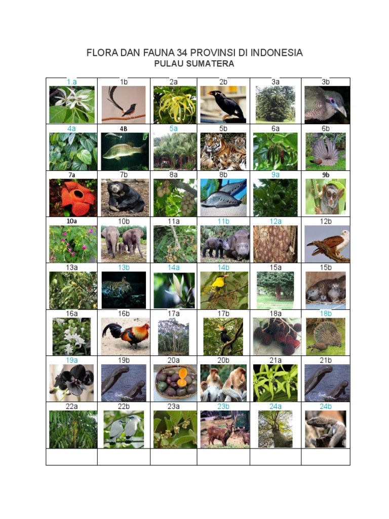 Flora Dan Fauna 34 Provinsi Di Indonesia (Bima Ardiansyah | PDF