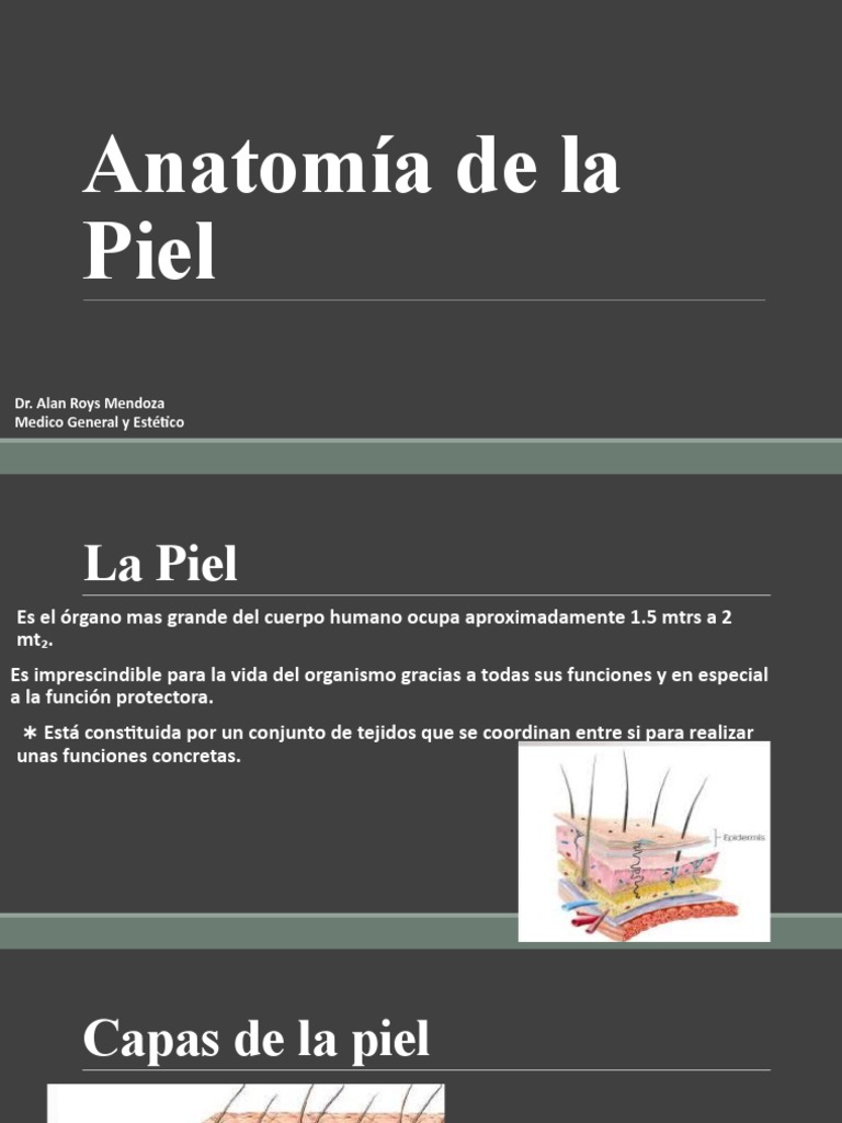 Anatomía y Estructura de la Piel | PDF | Epidermis | Piel