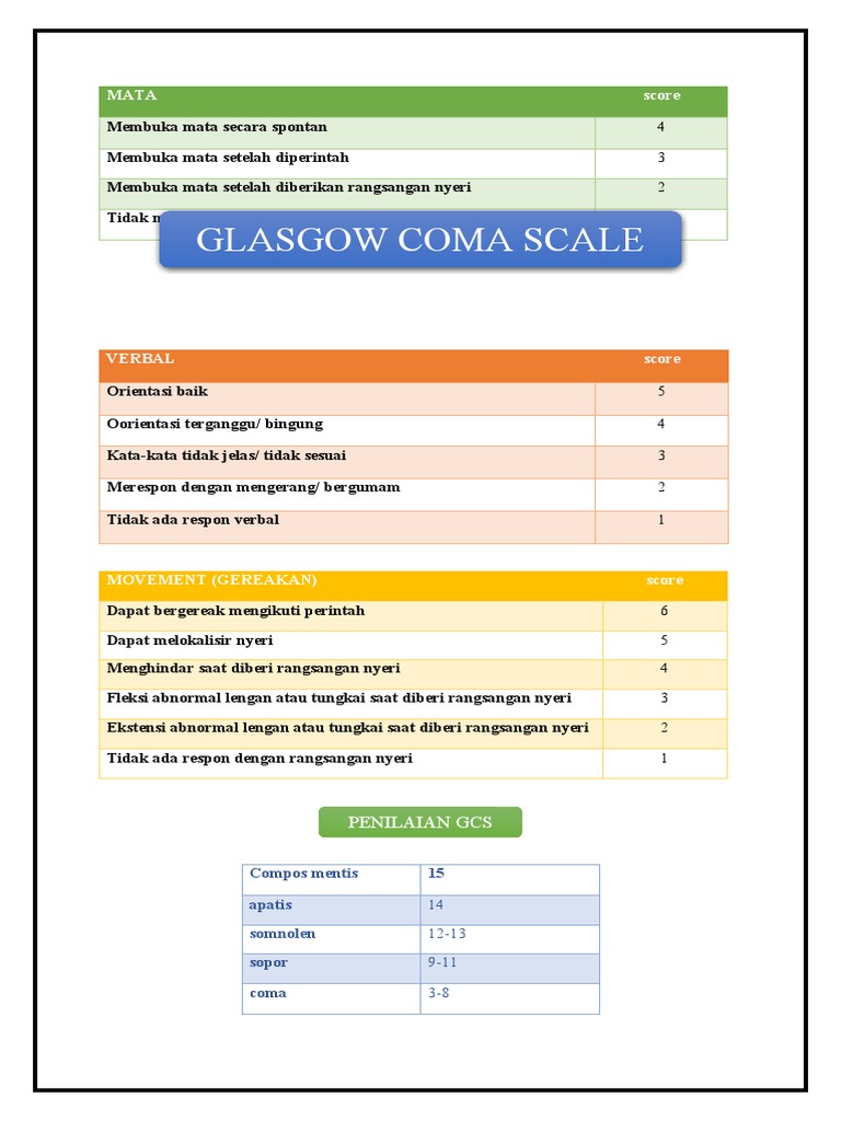 Glasgow Coma Scale: Mata Score | PDF