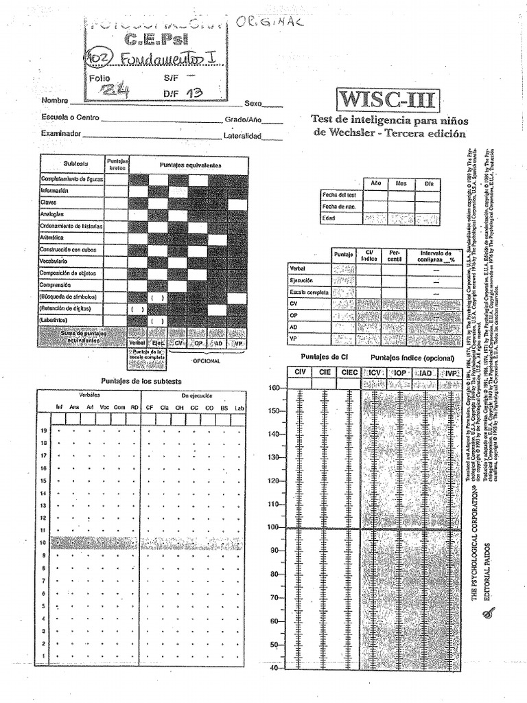 22.protocolo Wisc III | PDF